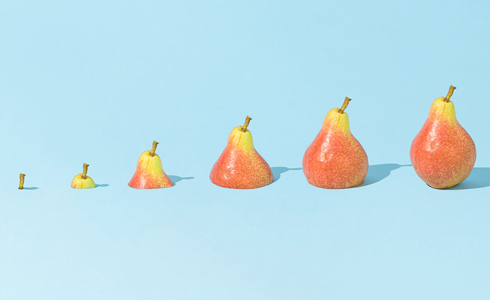 Understanding the Stages of Dilation – Trilastin